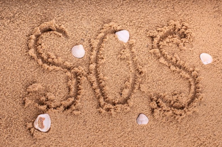 Summer Brain and Mangled Language – Clarissa Harwood